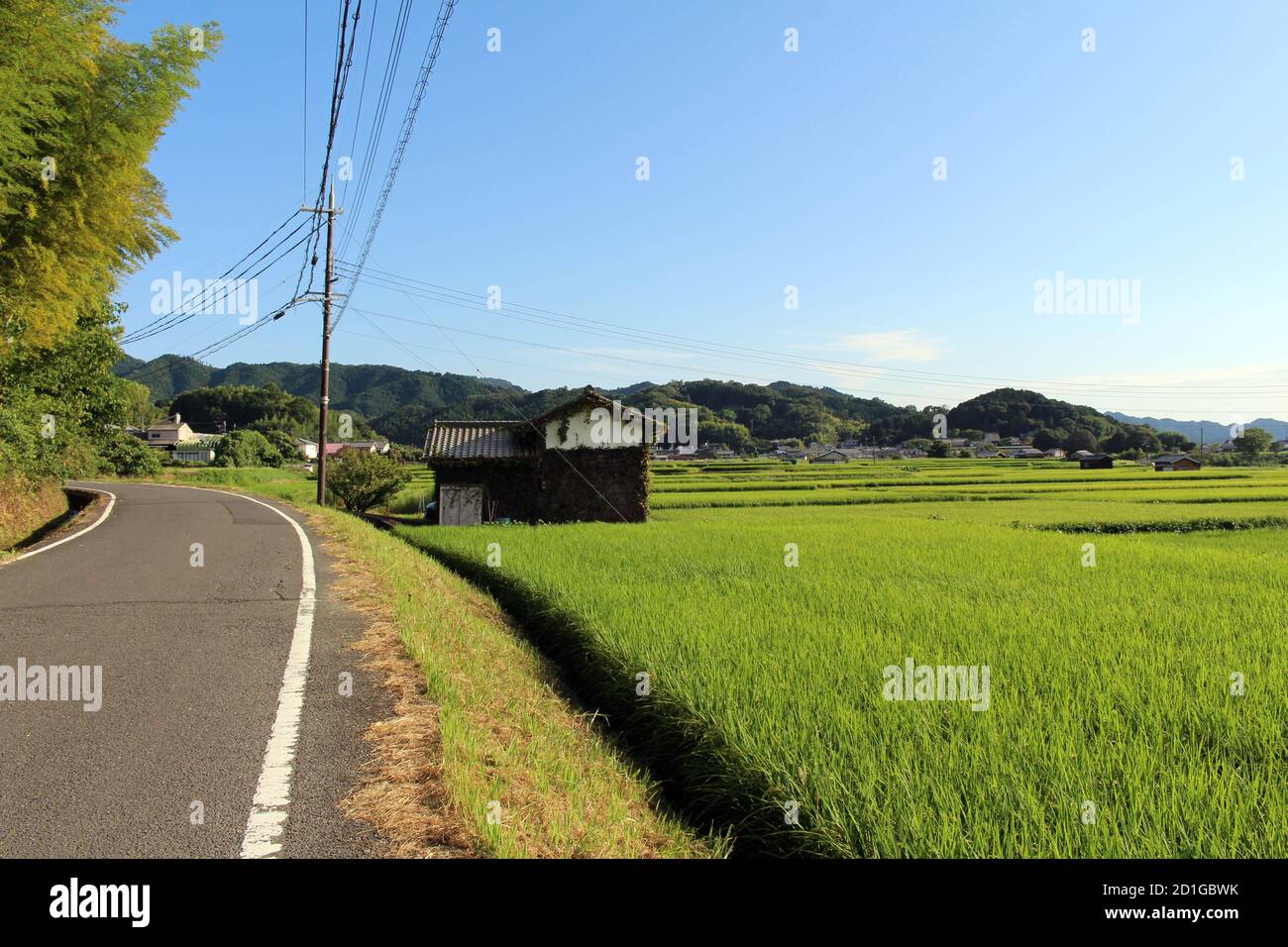 Country road and Green landscape of paddy field in Asuka, Nara, Japan ...