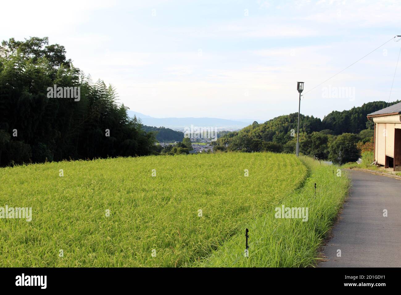 Countryside and paddy field in Asuka, Japan. Taken in September 2019 ...