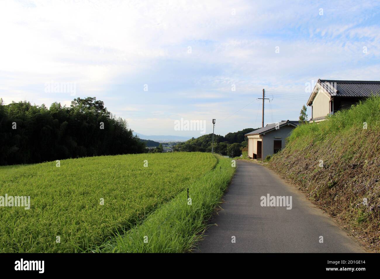 Countryside and paddy field in Asuka, Japan. Taken in September 2019 ...