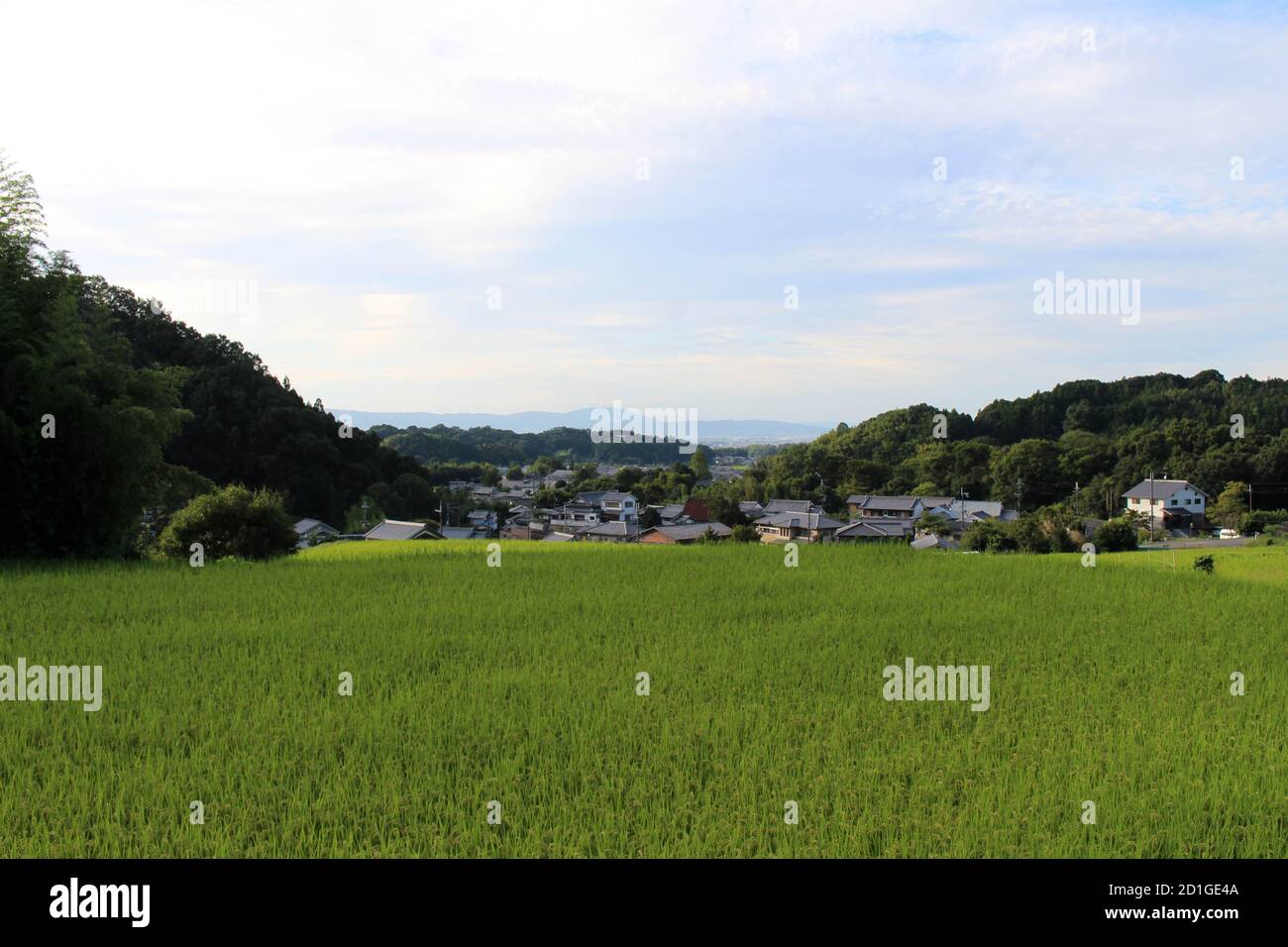 Countryside and paddy field in Asuka, Japan. Taken in September 2019 ...