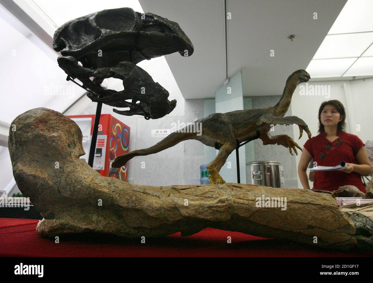 Gigantoraptor china hi-res stock photography and images - Alamy