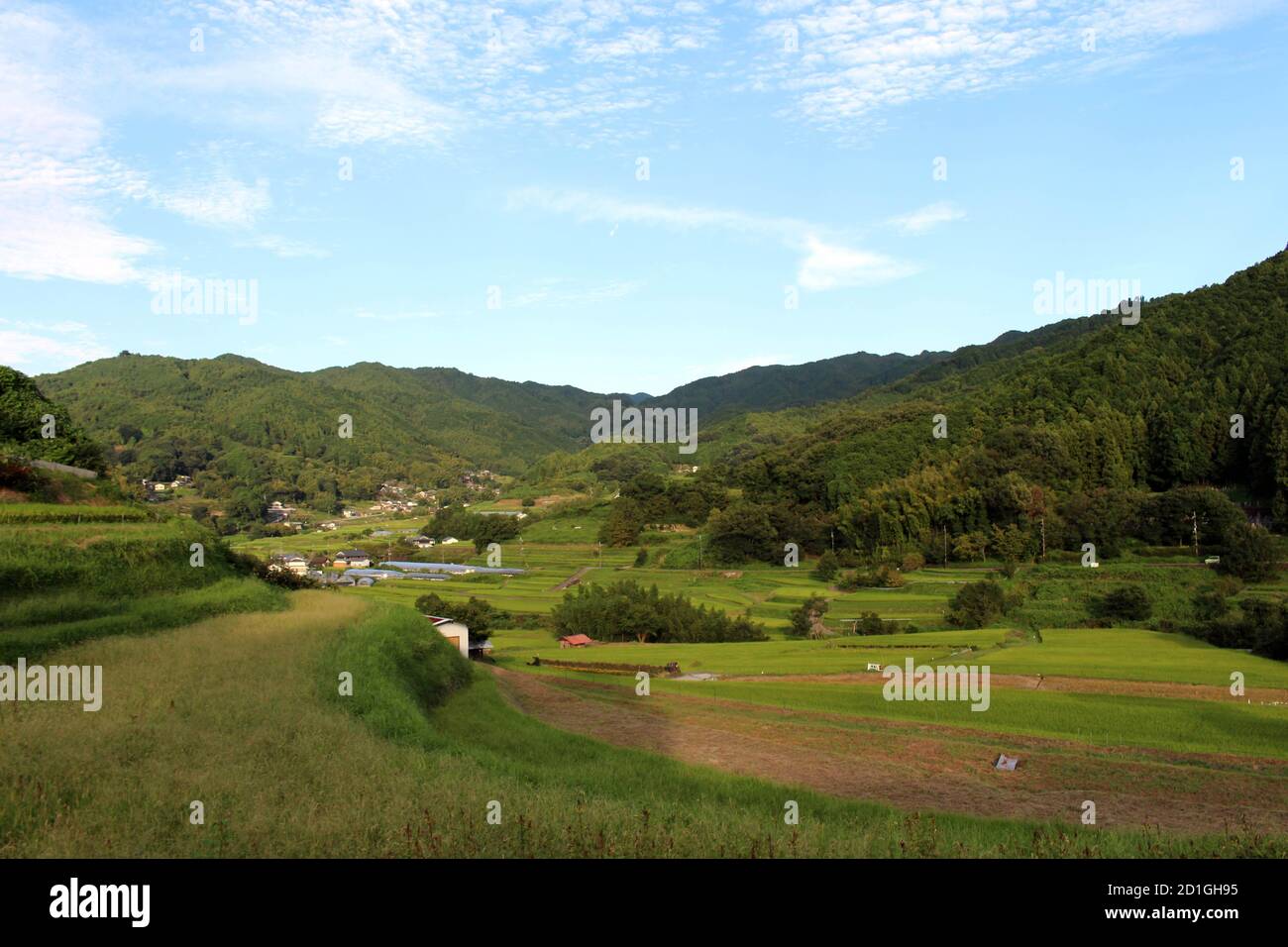Asuka Japan Landscape