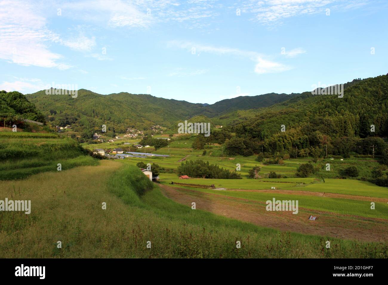 Lush rice terrace in Asuka, Nara, Japan. Taken in September 2019 Stock ...
