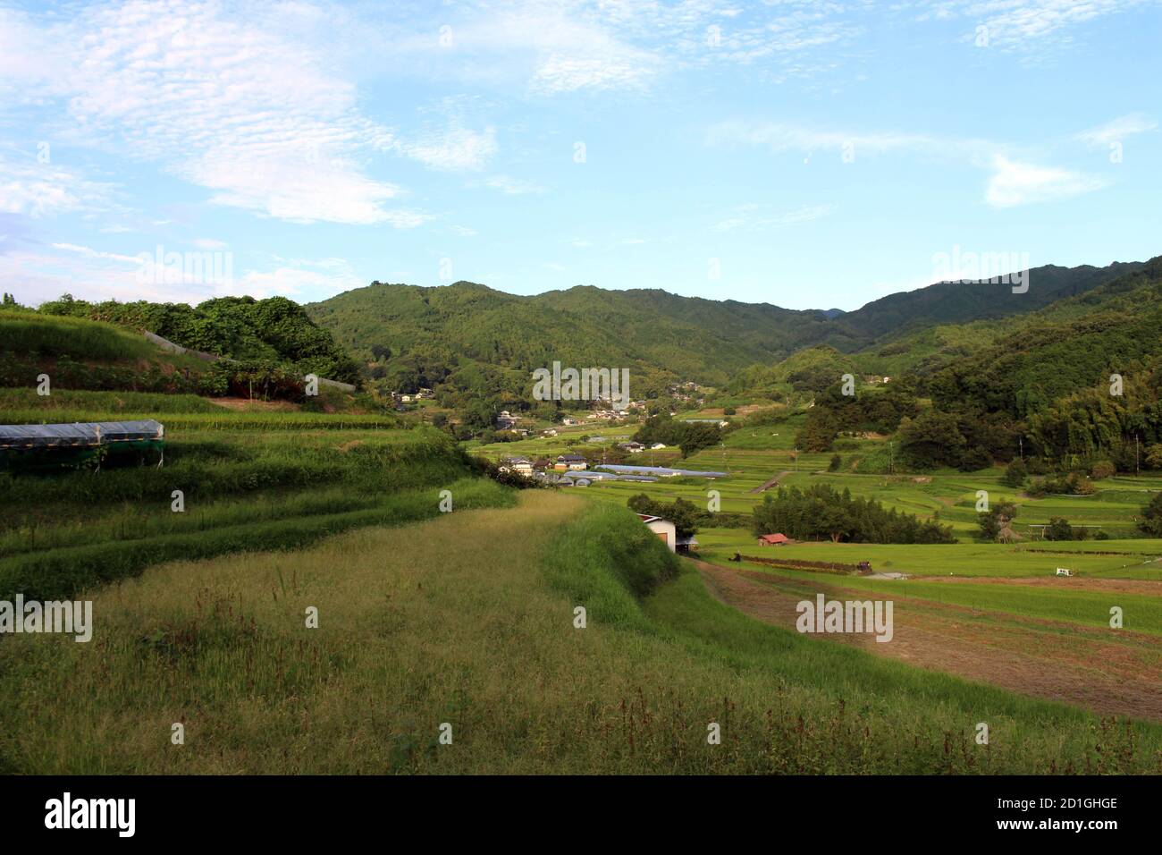 Lush rice terrace in Asuka, Nara, Japan. Taken in September 2019 Stock ...