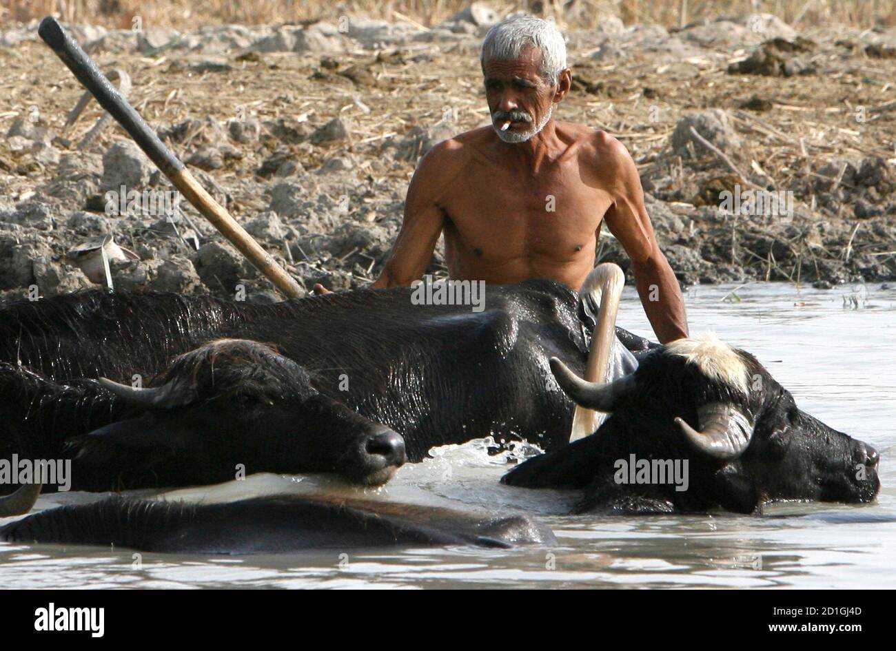 Marsh Arab High Resolution Stock Photography and Images - Alamy