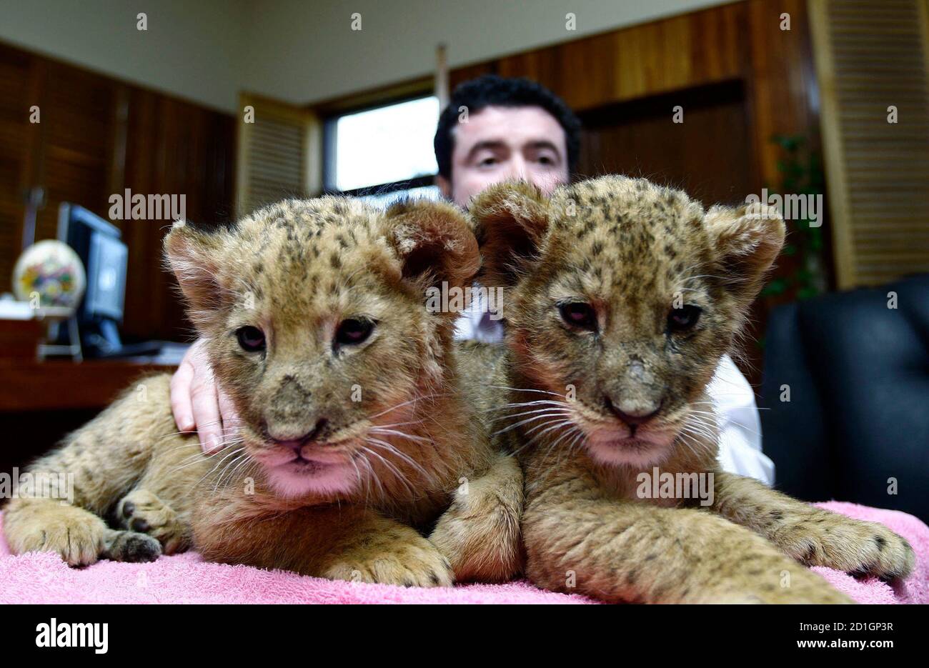 Riyadh zoo in saudi arabia hi-res stock photography and images - Alamy
