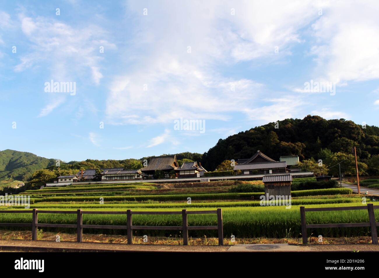 Paddy field and traditional house in a village of Asuka. Taken in ...