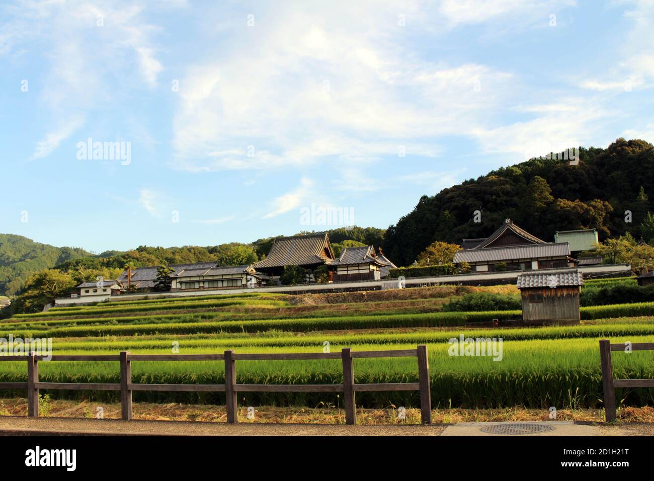 Paddy field and traditional house in a village of Asuka. Taken in ...