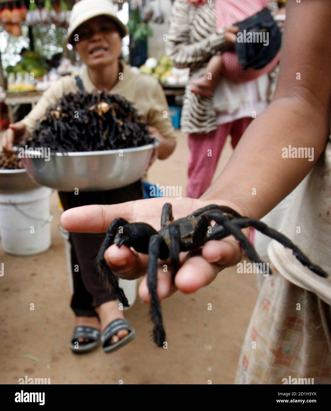 Crunchy spiders hi-res stock photography and images - Alamy