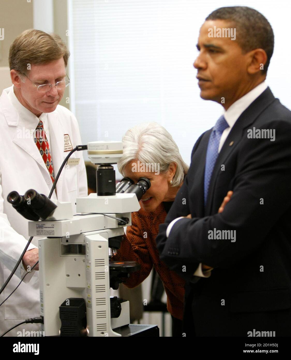 Brain cells microscope hi-res stock photography and images - Alamy