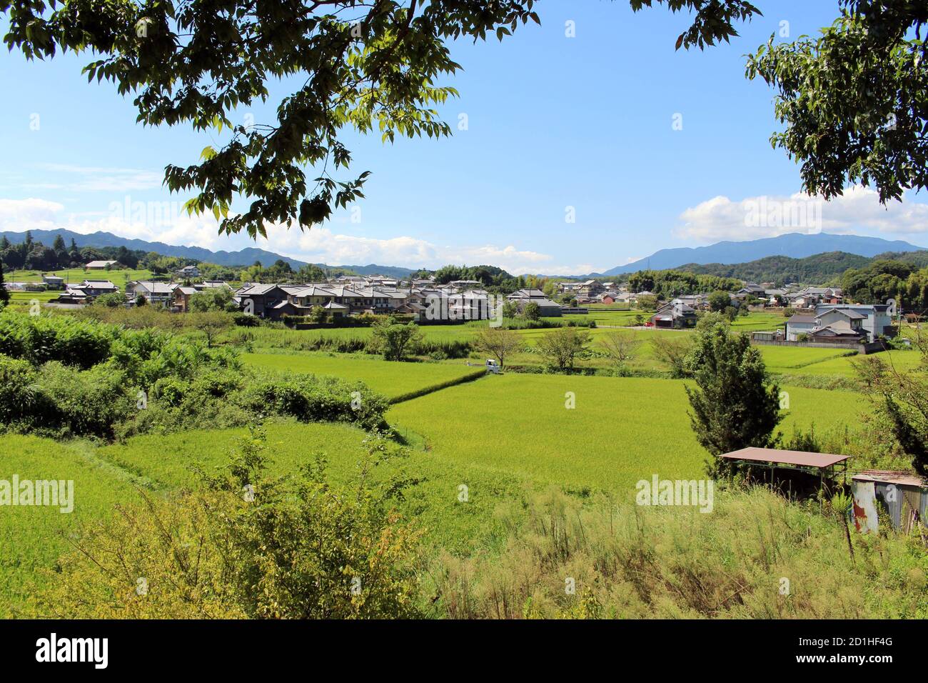 Asuka Japan Landscape