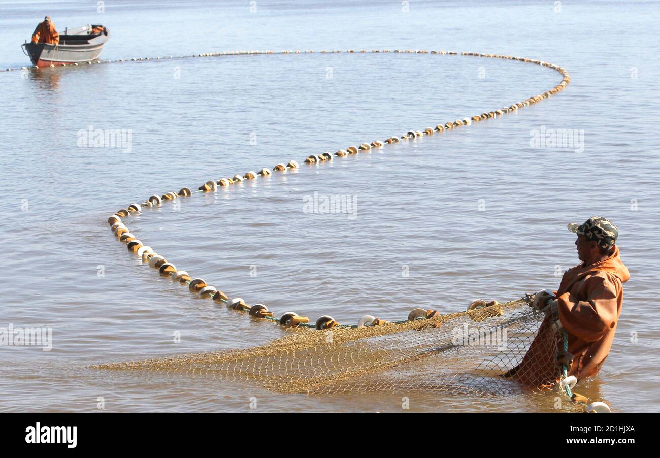 The tsar fish hi-res stock photography and images - Alamy
