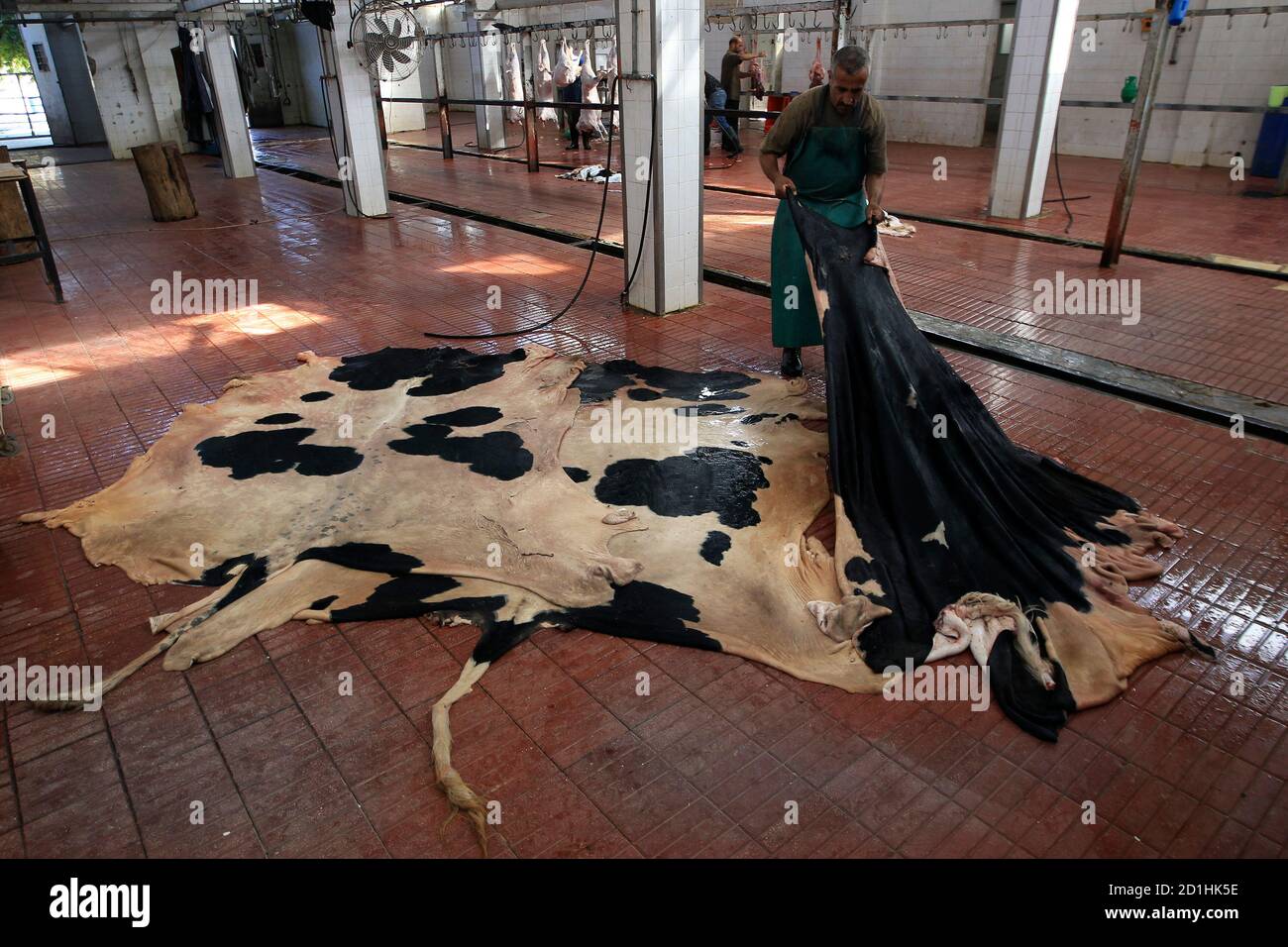 Skin industries hi-res stock photography and images - Alamy