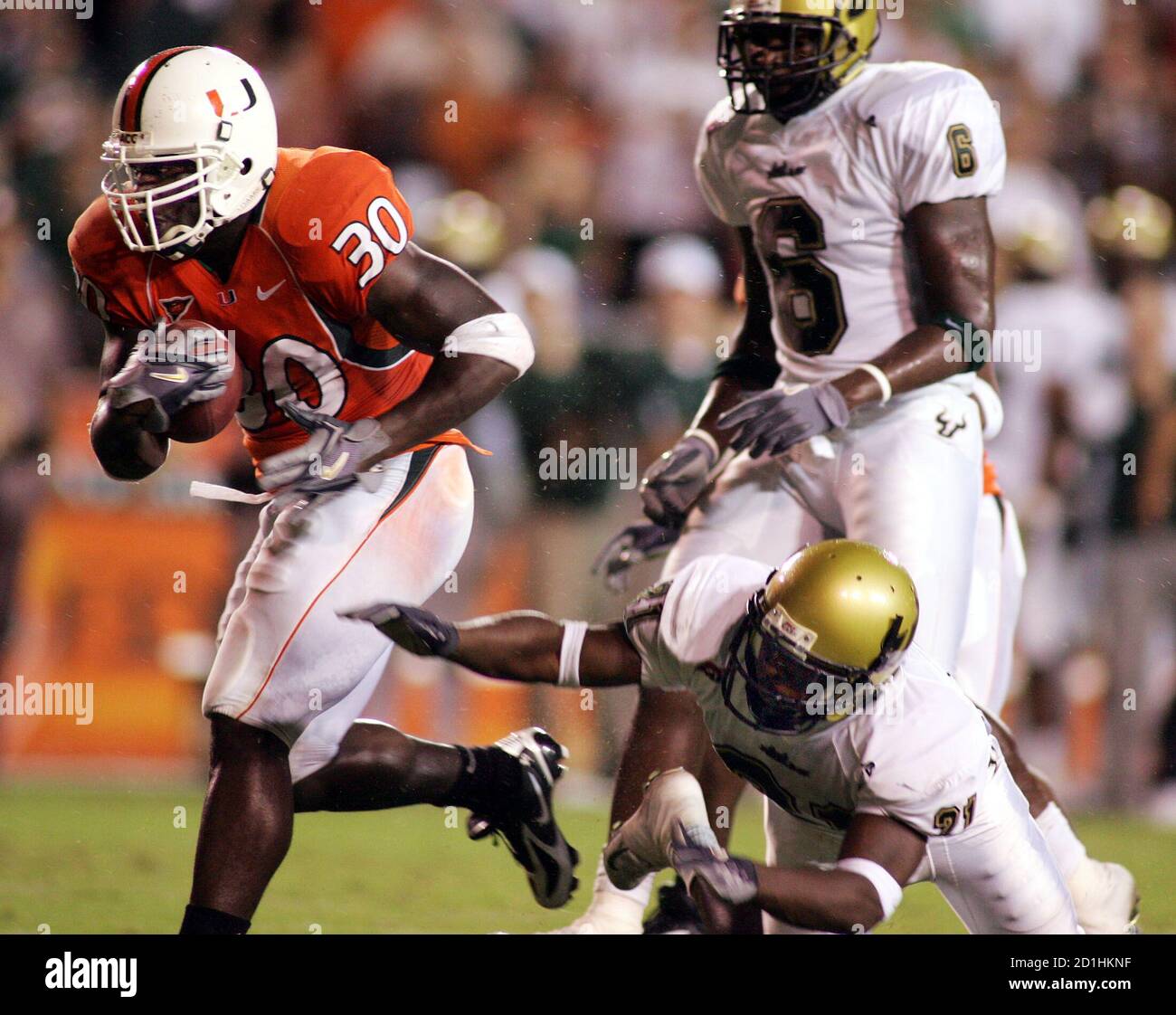 South florida bulls hi-res stock photography and images - Alamy