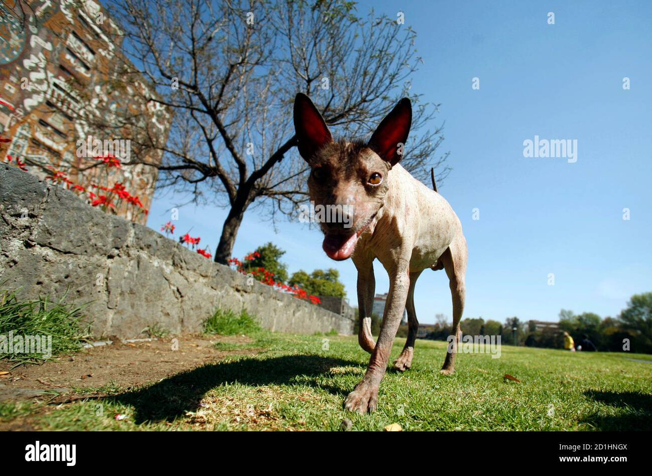 Emotionally fragile hi-res stock photography and images - Alamy