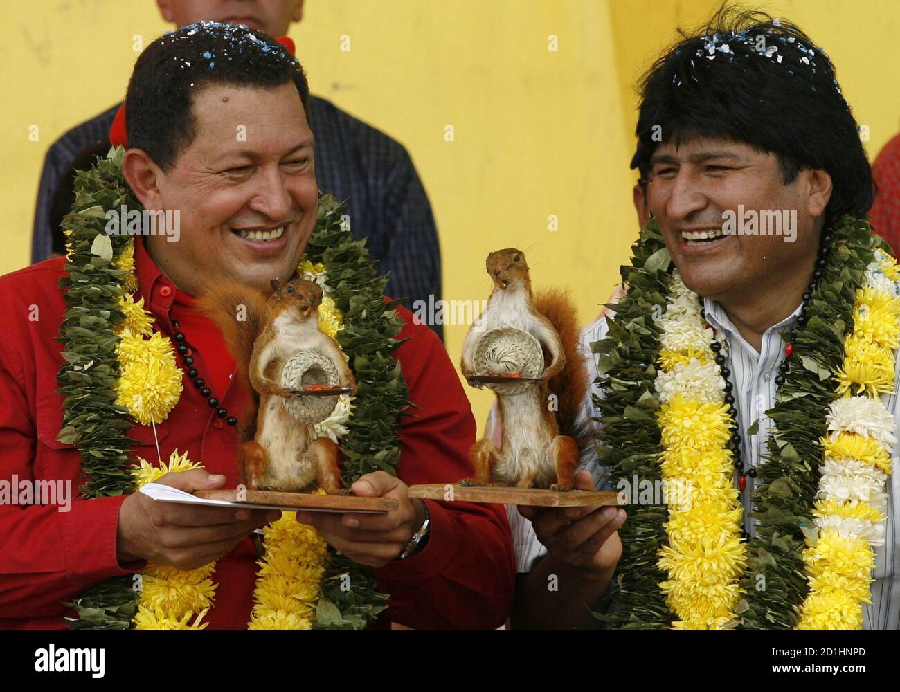 Trinidad squirrel hi-res stock photography and images - Alamy