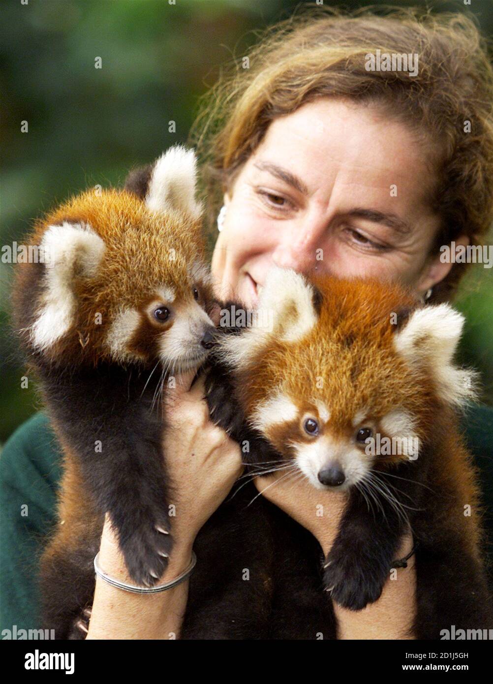 Threatened by deforestation hi-res stock photography and images - Alamy