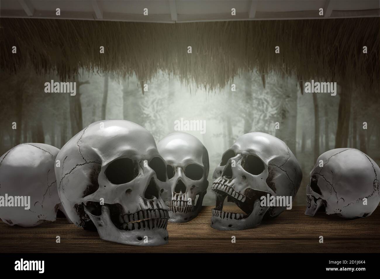 Human skull on the wooden table with a haunted forest background Stock ...