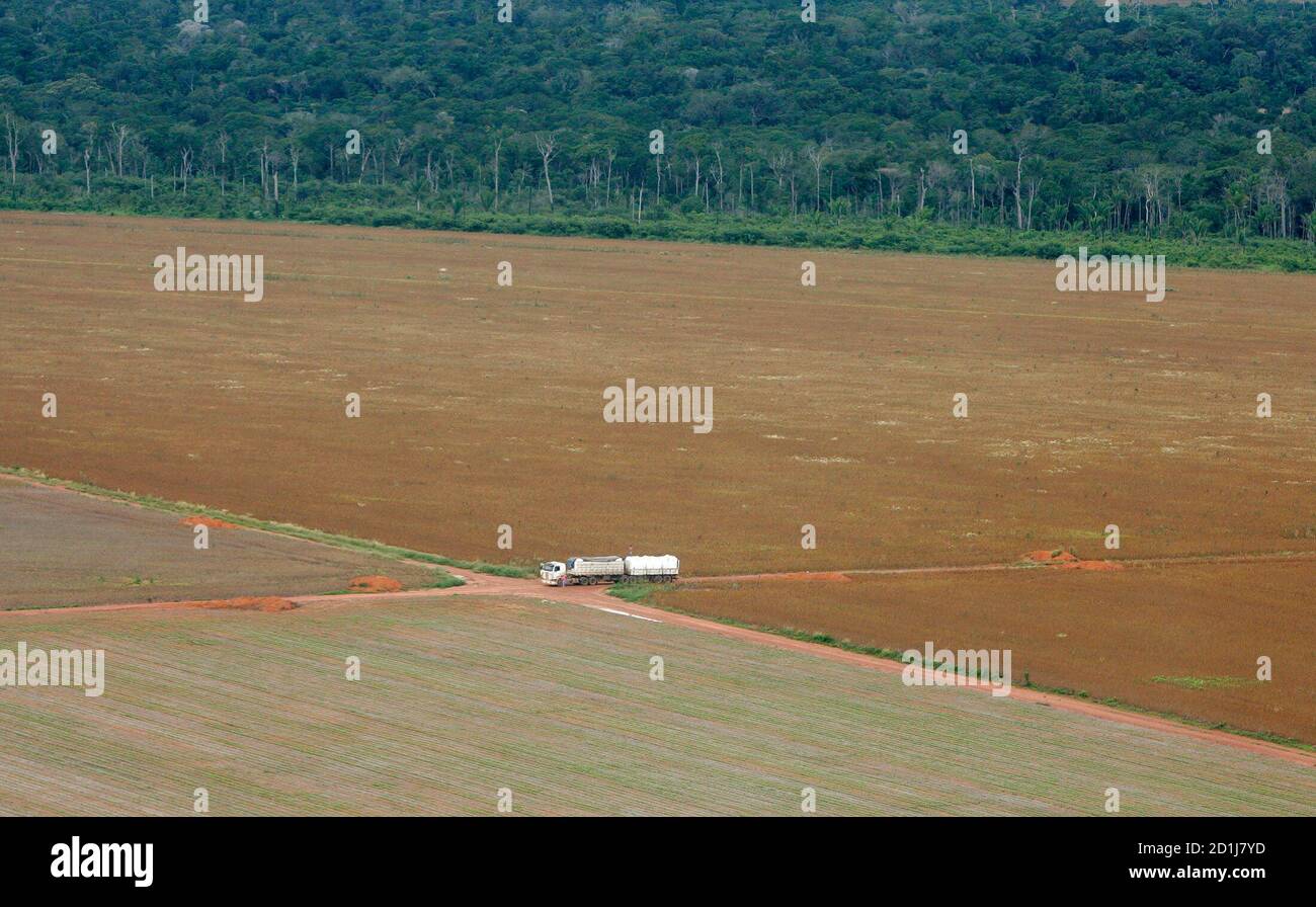 Fighting Deforestation High Resolution Stock Photography and Images - Alamy