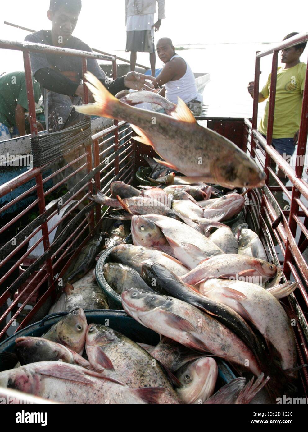 Laguna lake philippines. hi-res stock photography and images - Alamy