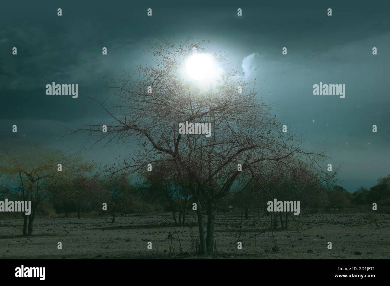 Field with fog with moonlight background Stock Photo - Alamy