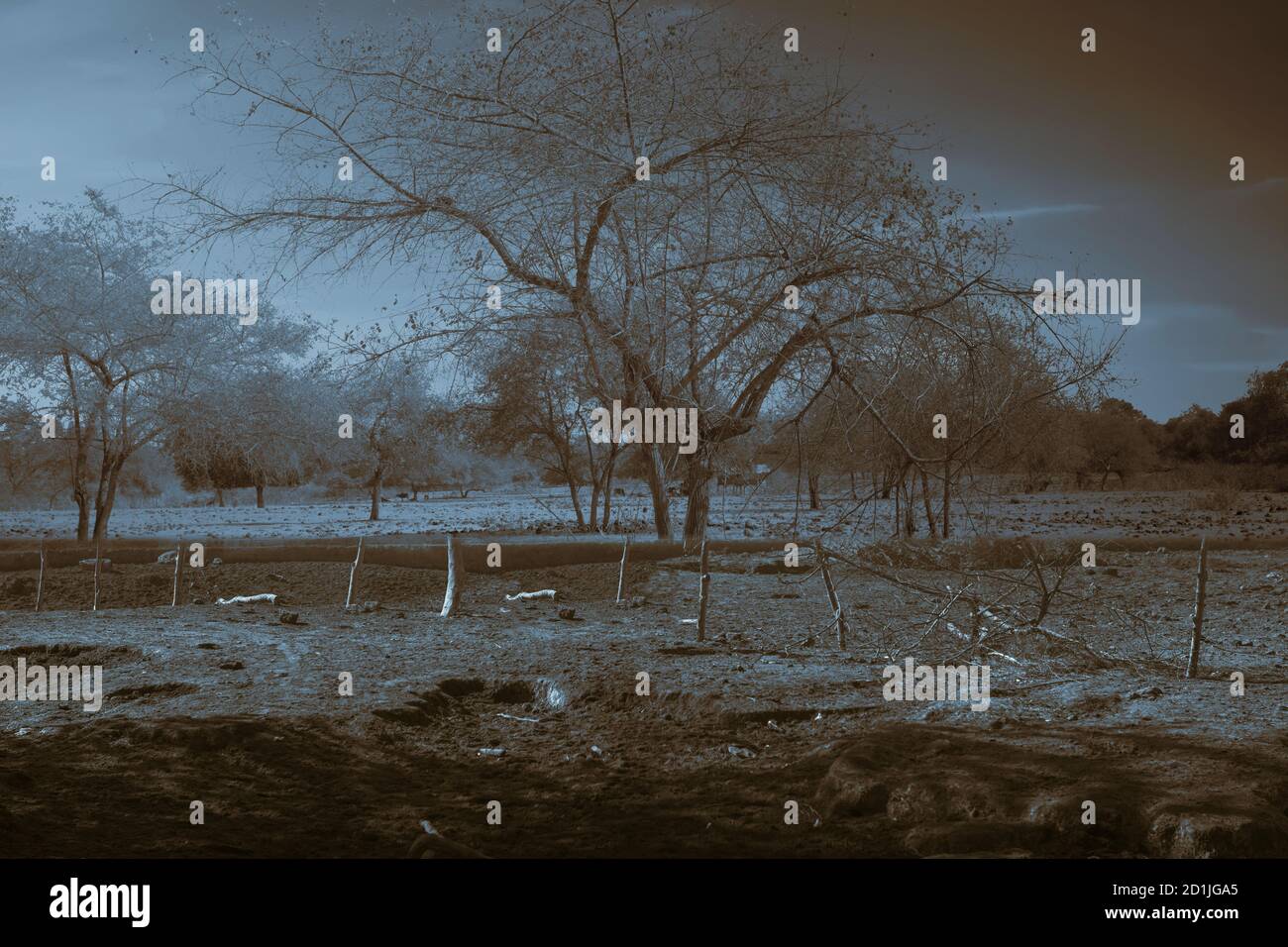 Field with the dramatic scene background Stock Photo - Alamy