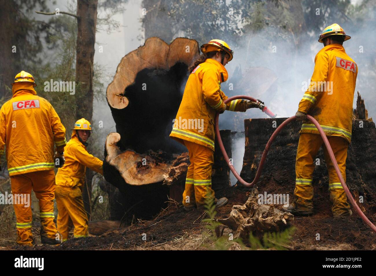 Bushfire blackened landscape hi-res stock photography and images - Alamy