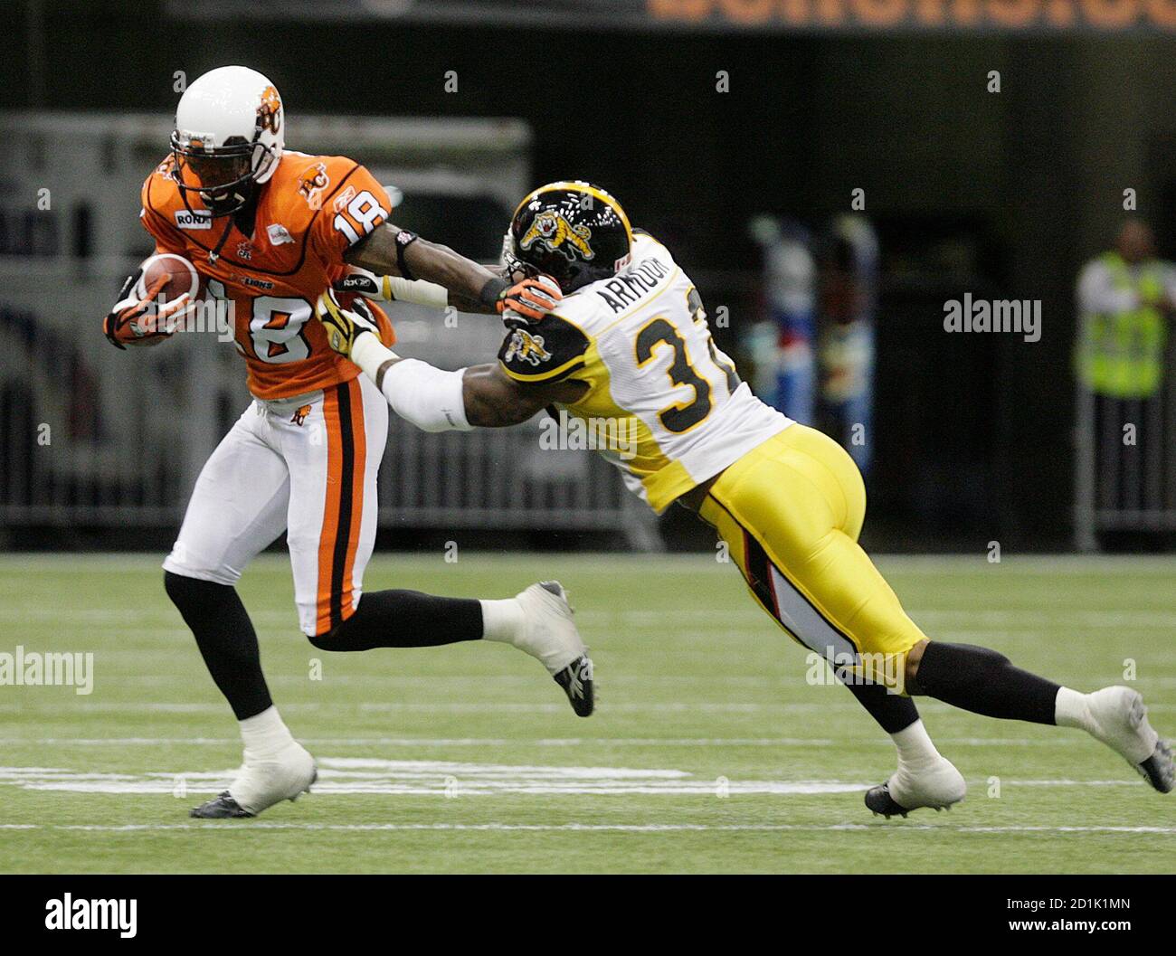 Tiger armour hi-res stock photography and images - Alamy