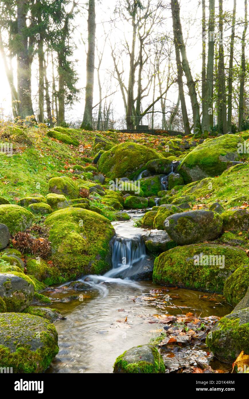 Estonia Green High Resolution Stock Photography and Images - Alamy