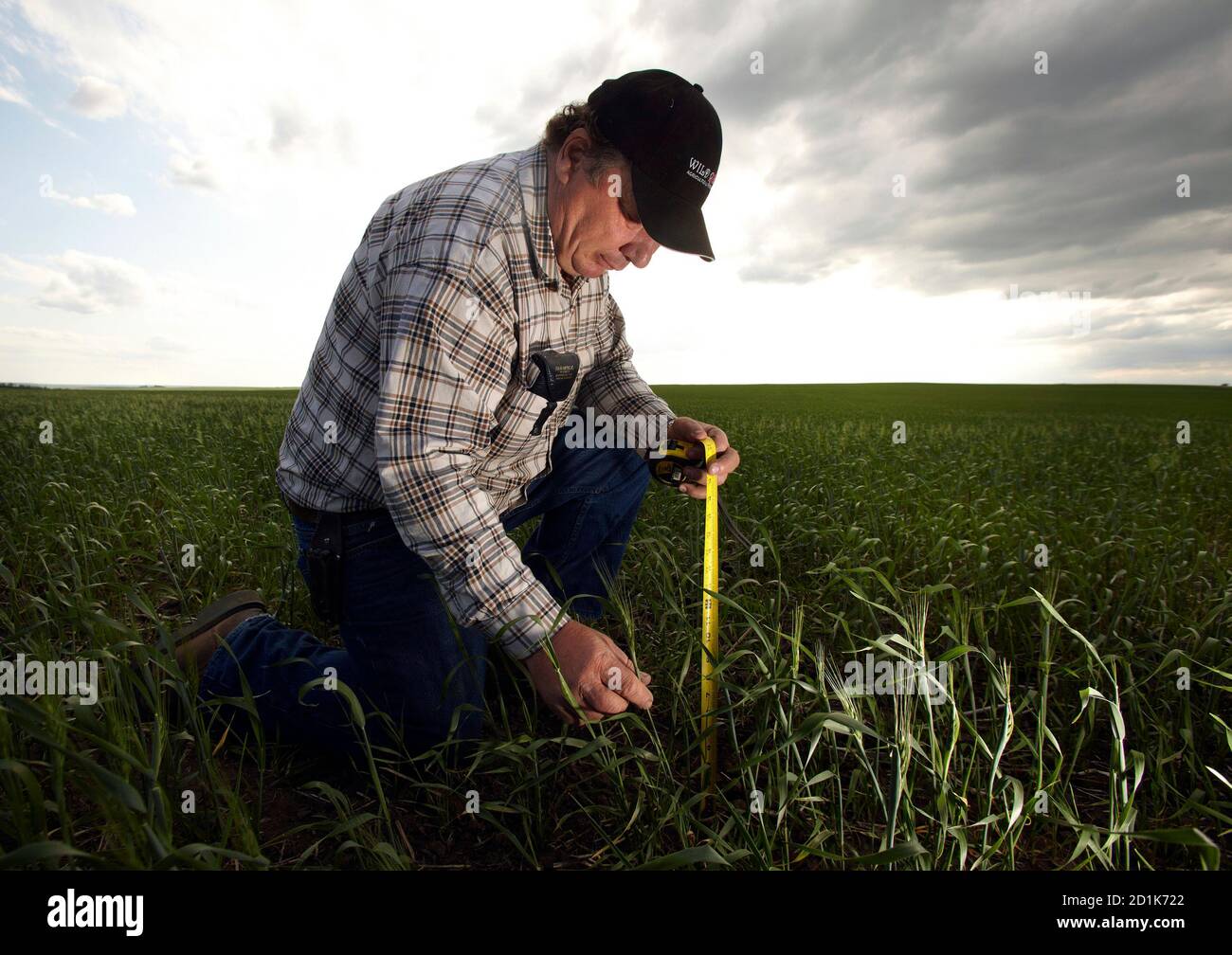 Rockyford hi-res stock photography and images - Alamy