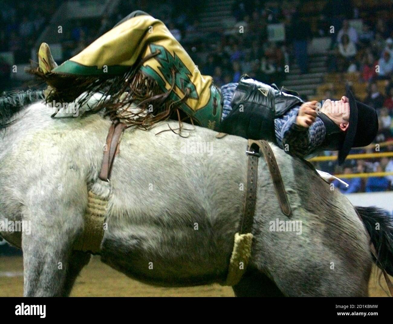 Bareback Bronc Riding High Resolution Stock Photography and Images - Alamy