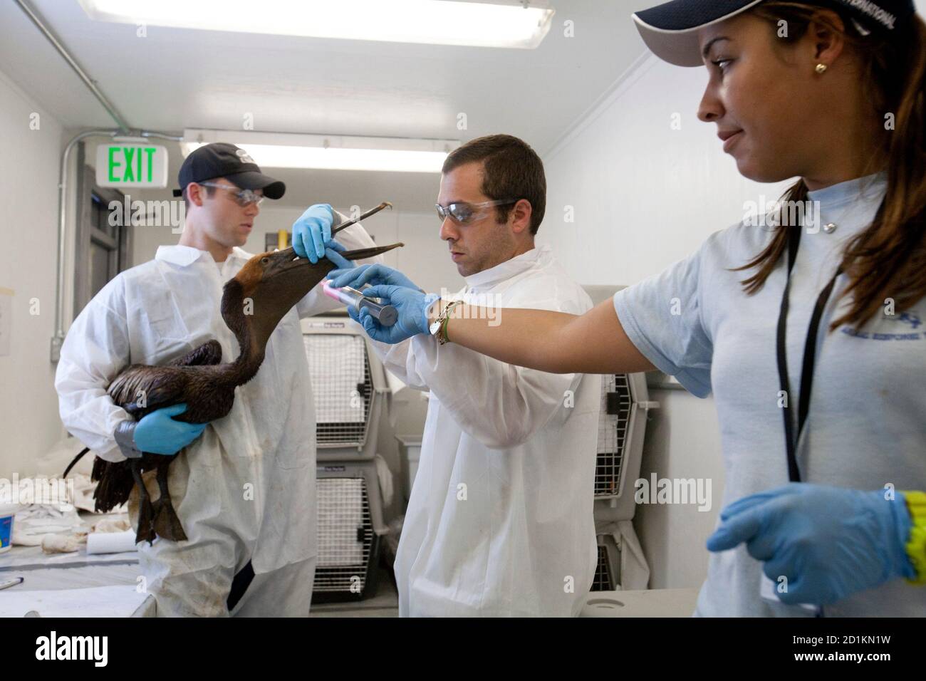 James cade hi-res stock photography and images - Alamy