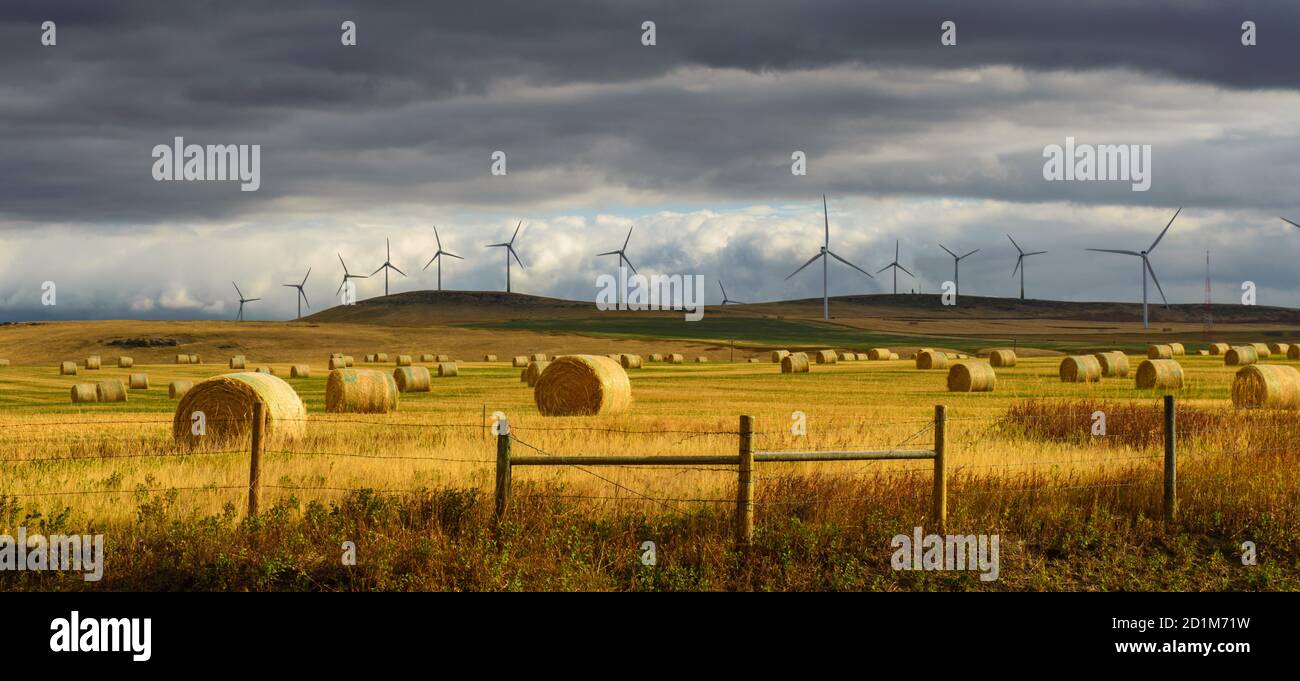 Hay field and wind turbines Stock Photo - Alamy