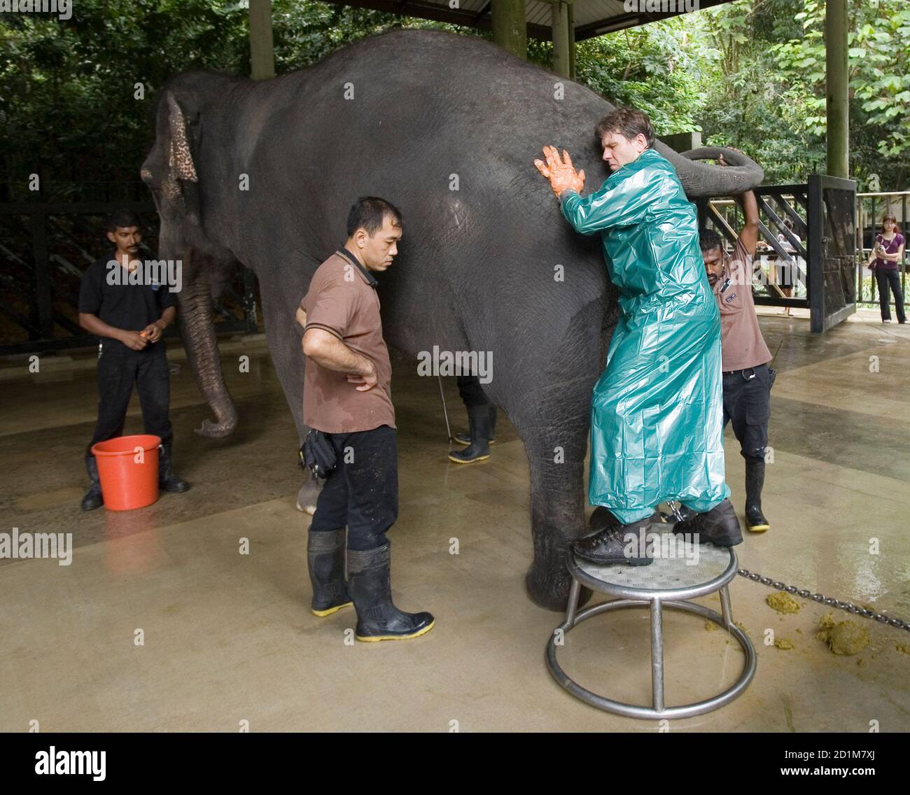 Female rectum hi-res stock photography and images - Alamy