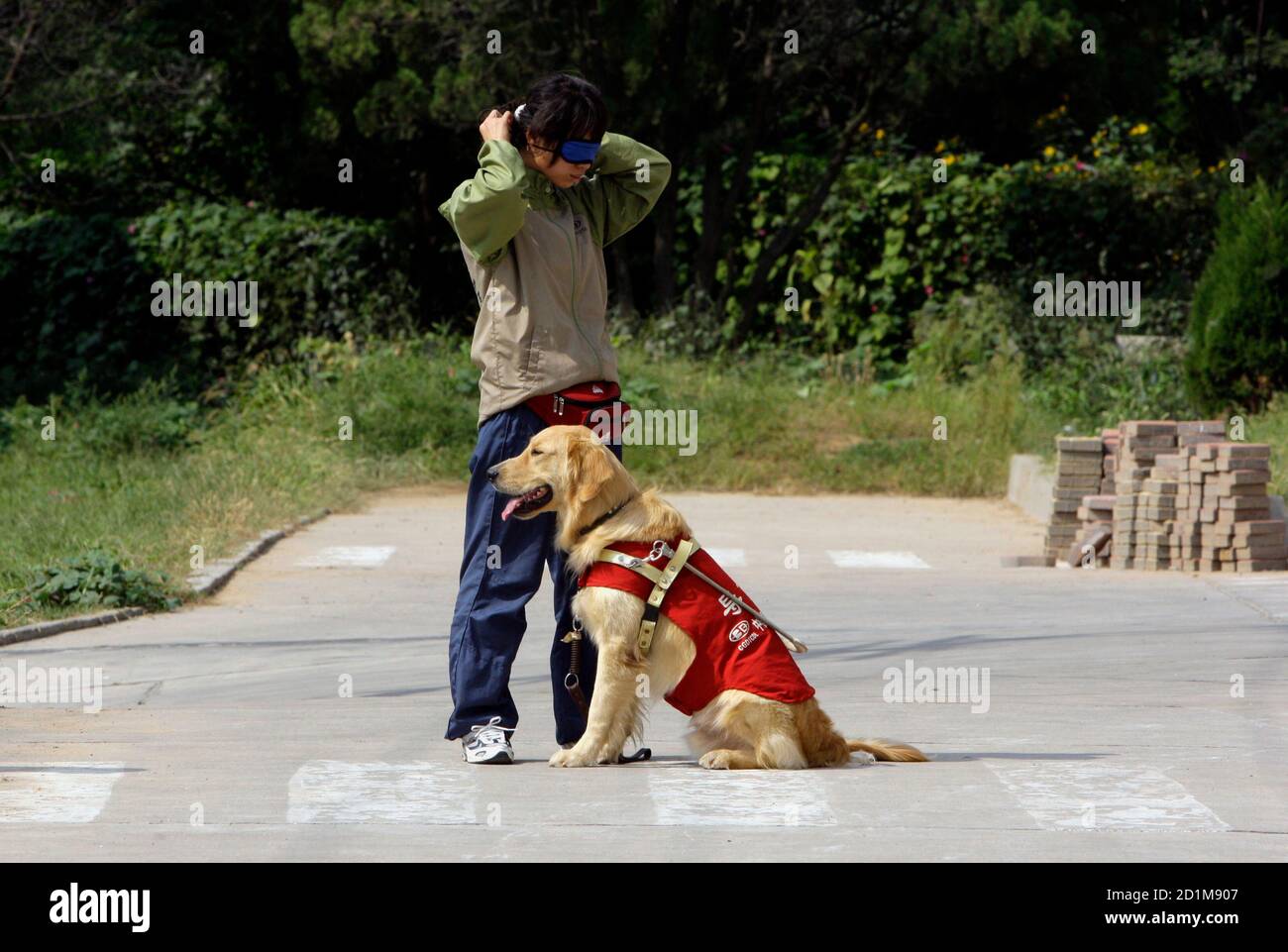 Guide dogs training centre hi-res stock photography and images - Alamy