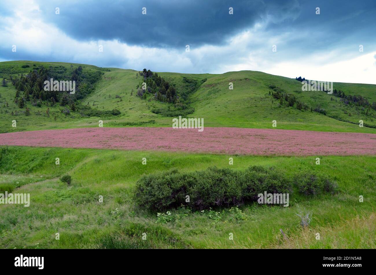 Clark National Forest High Resolution Stock Photography and Images - Alamy