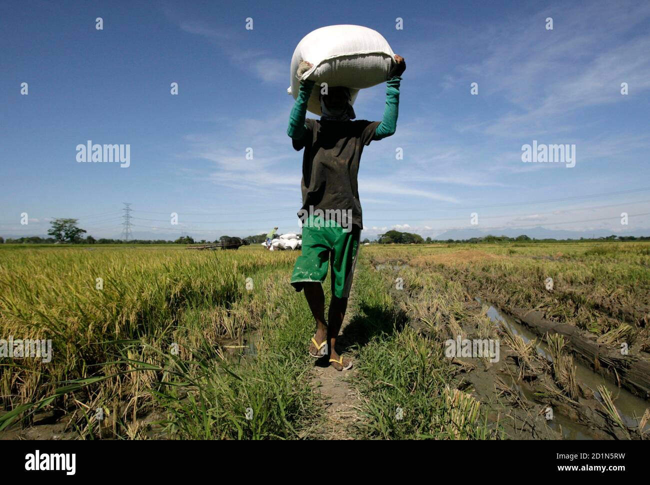 Man carrying sack rice on hi-res stock photography and images - Alamy
