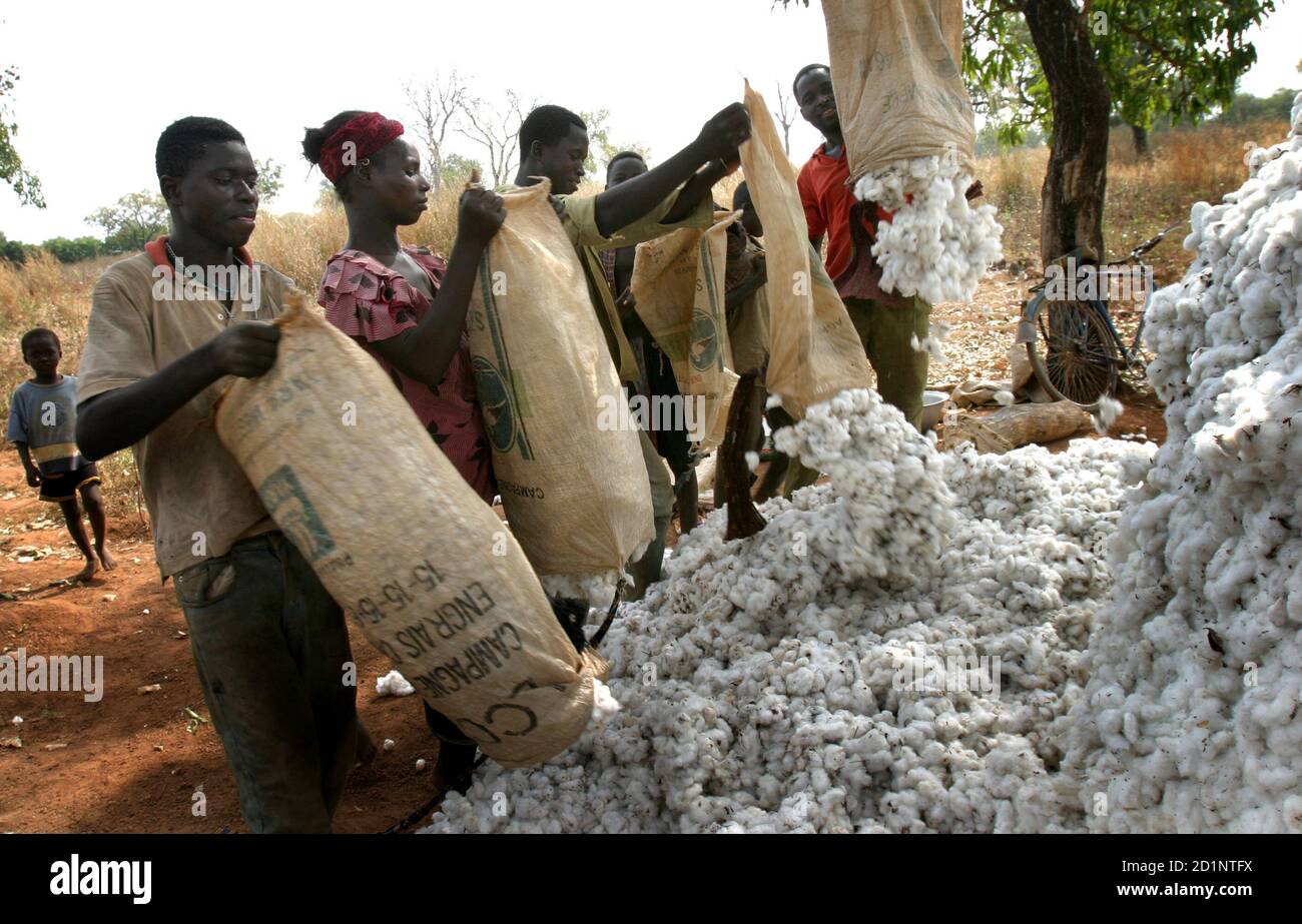 Ivory trade africa hi-res stock photography and images - Alamy