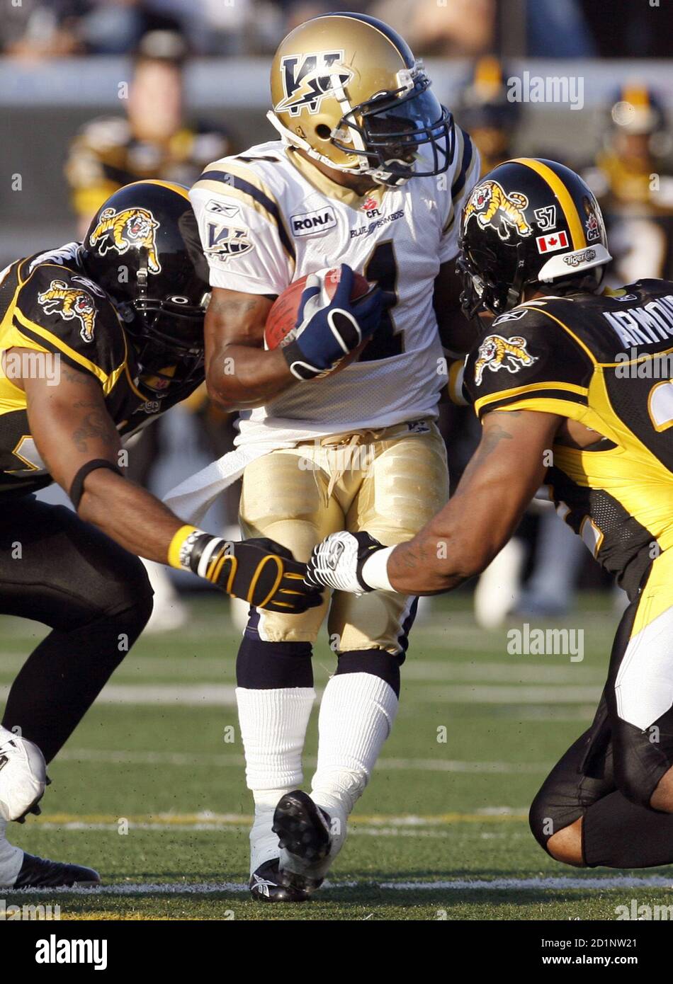 Tiger armour hi-res stock photography and images - Alamy