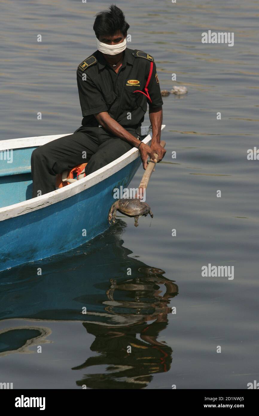 Indian mud turtle hi-res stock photography and images - Alamy