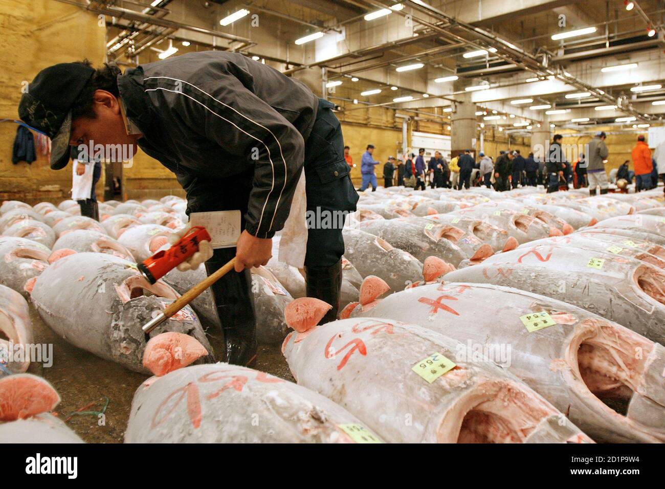 Human Carcasses High Resolution Stock Photography and Images - Alamy