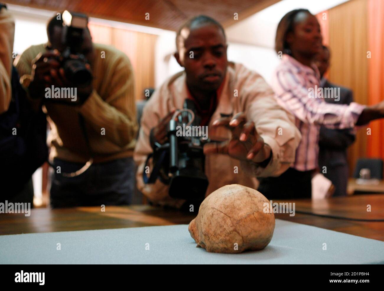 Homo habilis fossils hi-res stock photography and images - Alamy