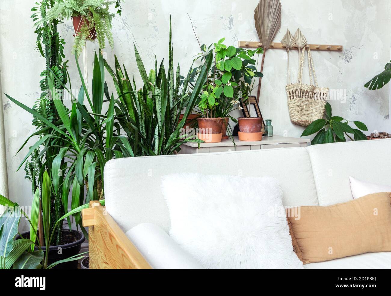 Nature design sofa hi-res stock photography and images - Alamy