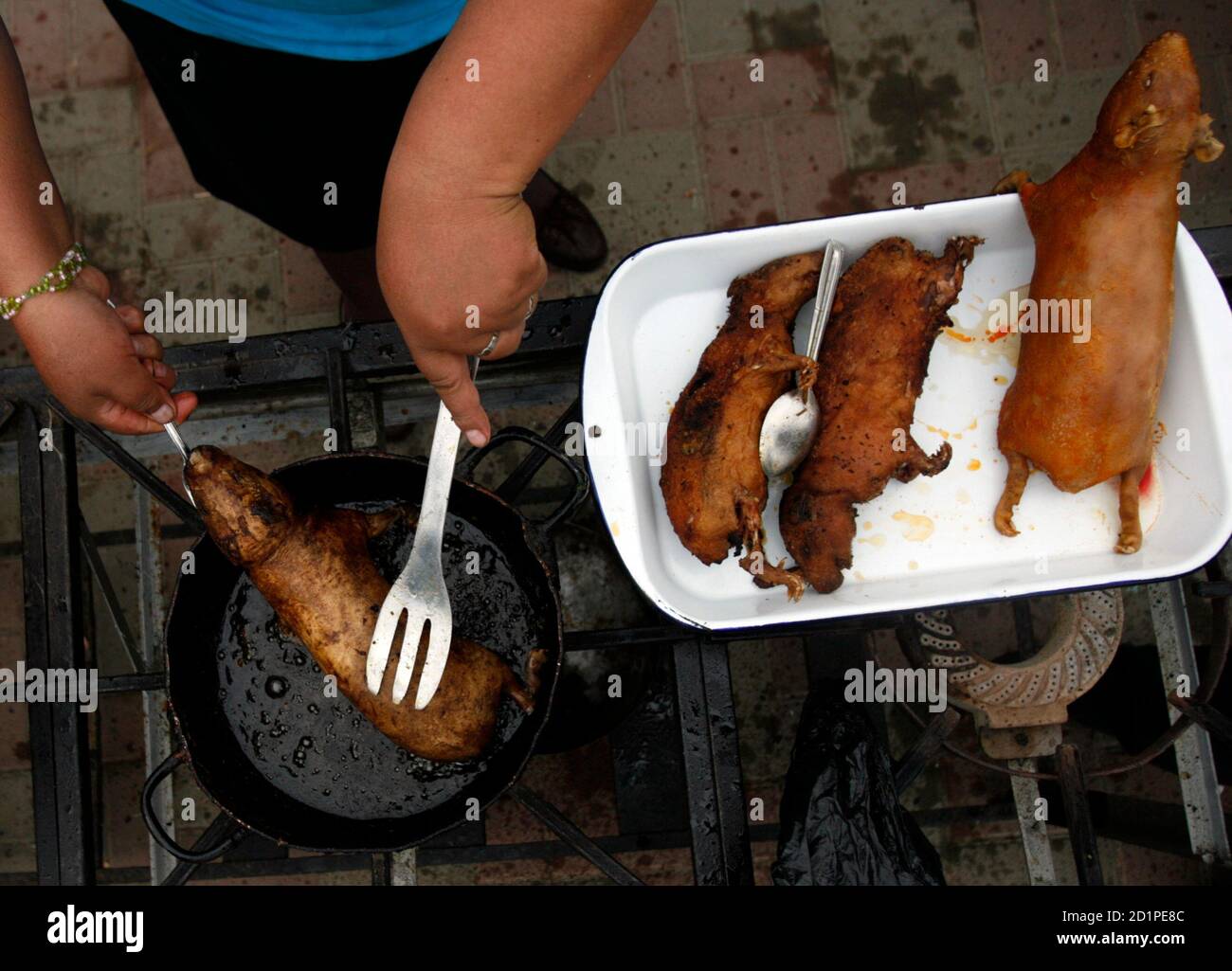 Guinea Pig Pictures High Resolution Stock Photography and Images - Alamy