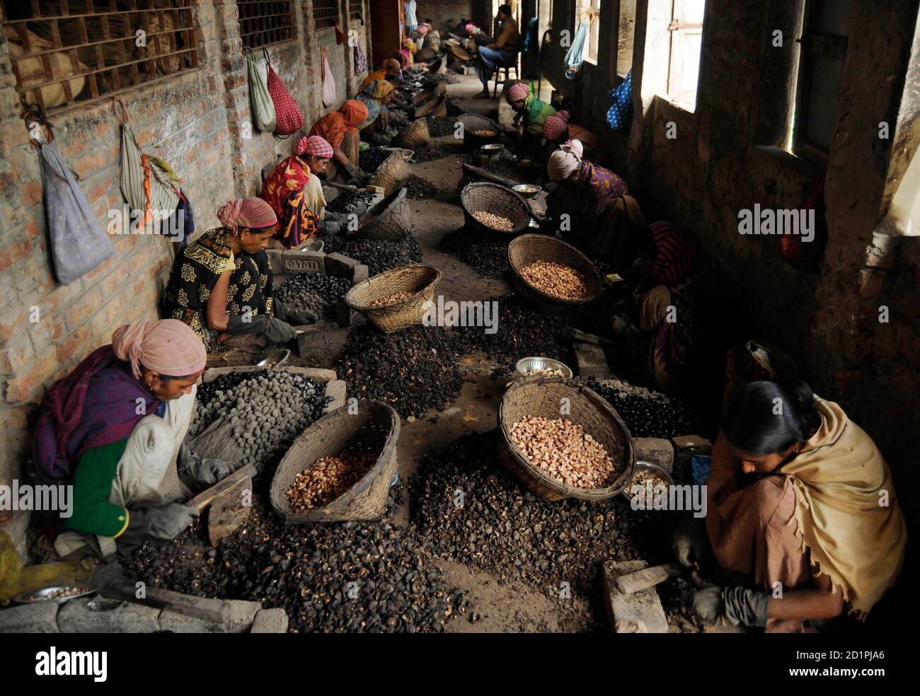 Food processing factory india hi-res stock photography and images - Alamy