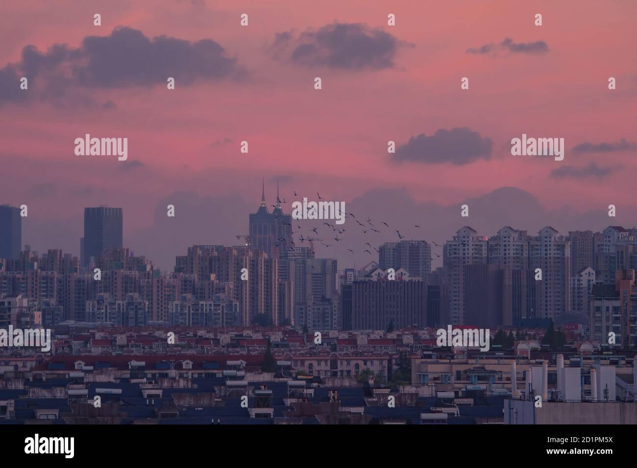 Charming urban night view at dusk in Shanghai Stock Photo - Alamy