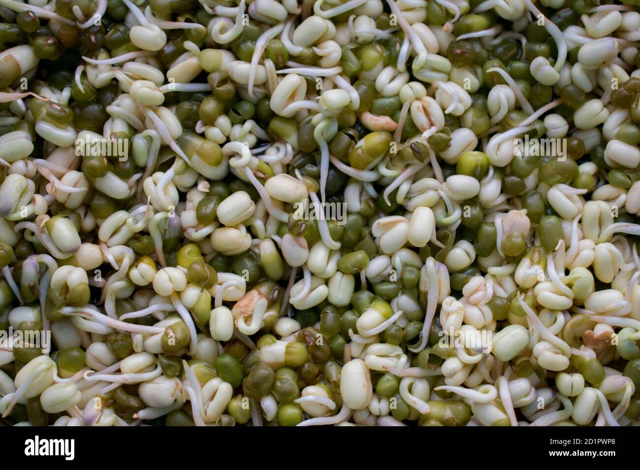 Long peas hi-res stock photography and images - Alamy