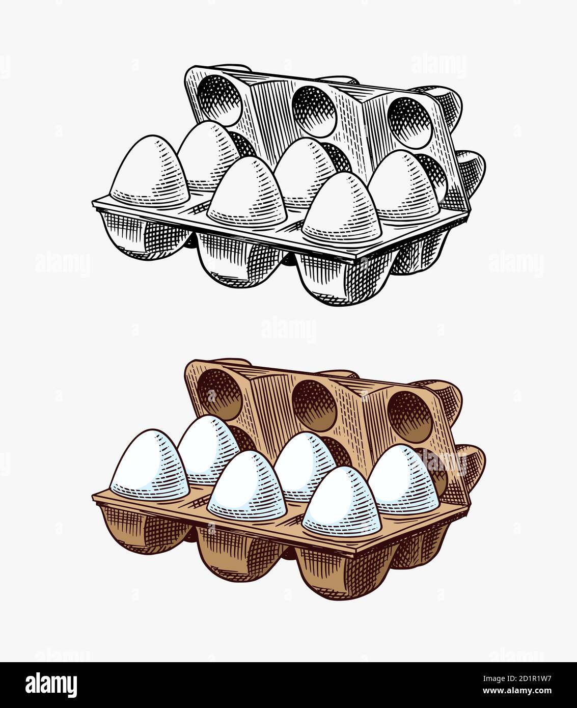 Carton Of Eggs Drawing