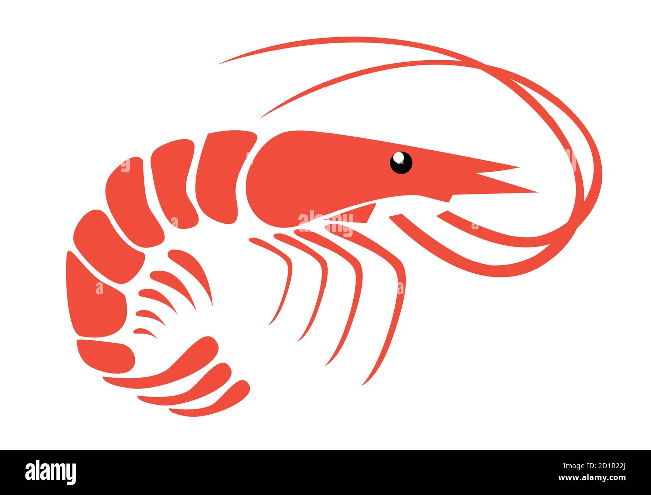 Shrimp vector illustration Stock Vector Image & Art - Alamy