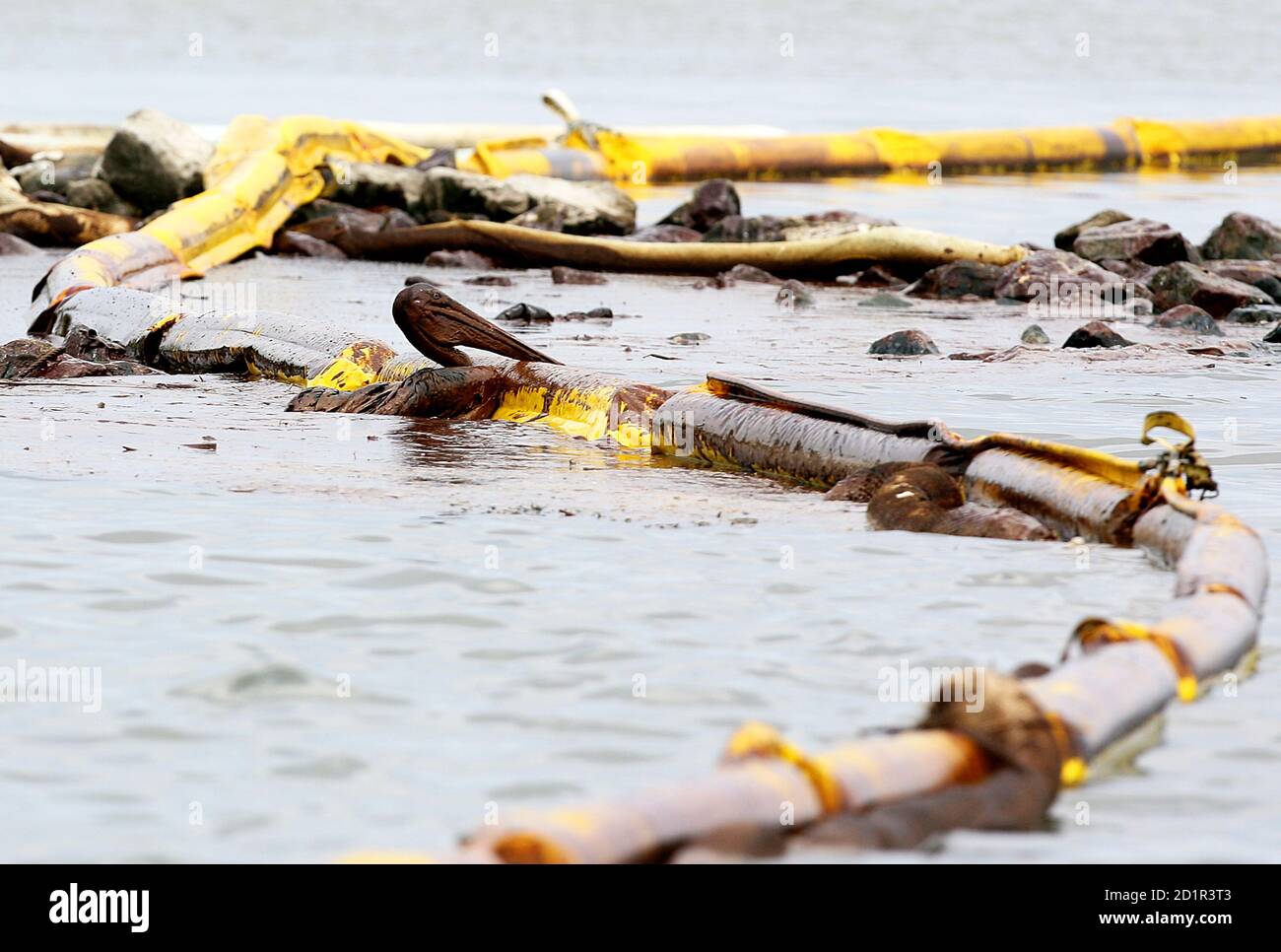Queen bess island hi-res stock photography and images - Alamy